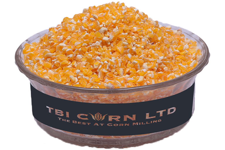 Indian Yellow Maize – TBI Corn Ltd